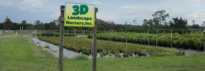 3-D Landscape Nursery