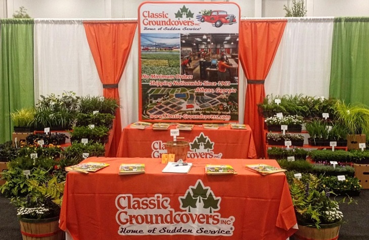 Classic Groundcovers